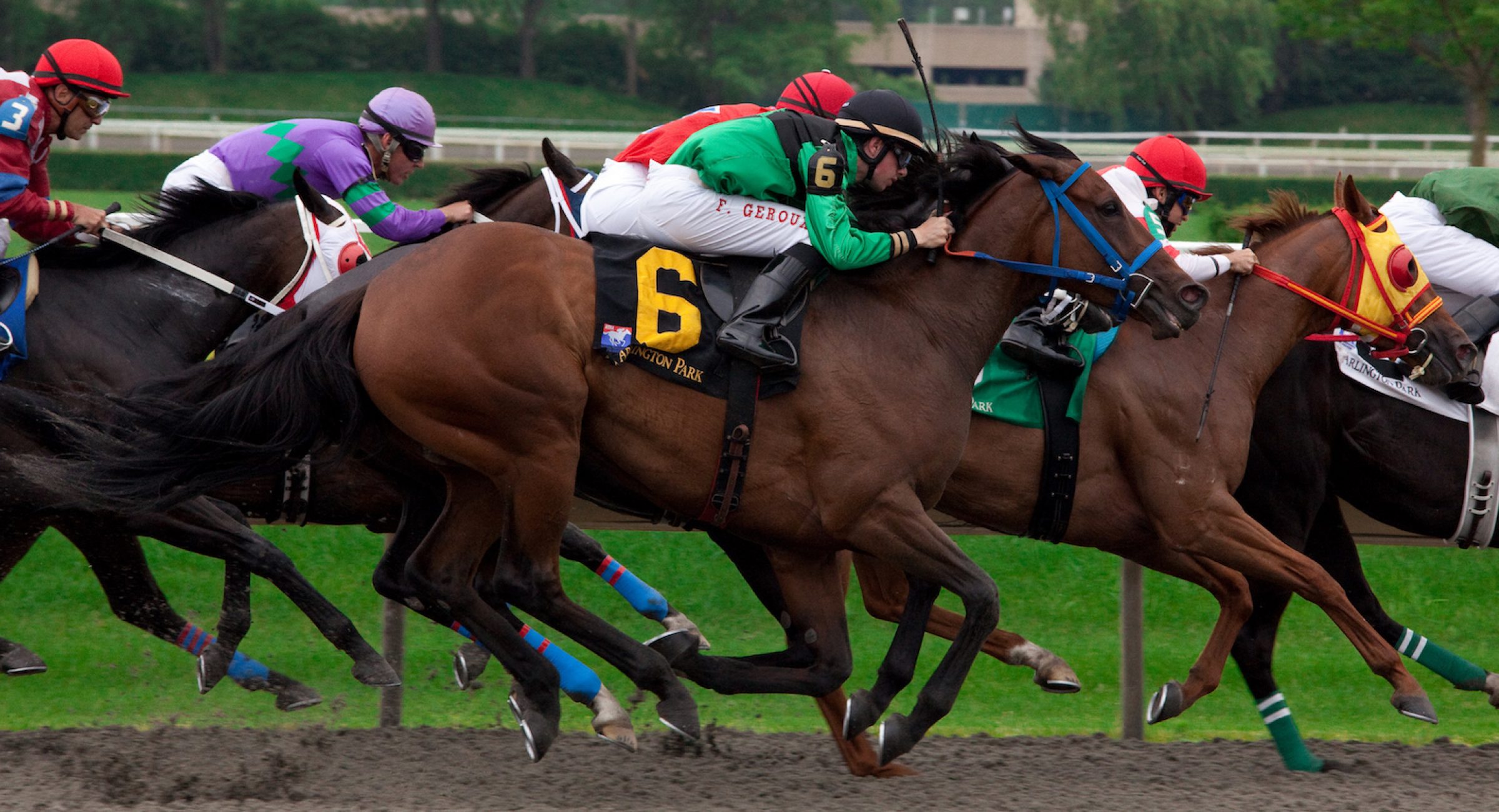 cropped-horses.jpg – Technology Consulting